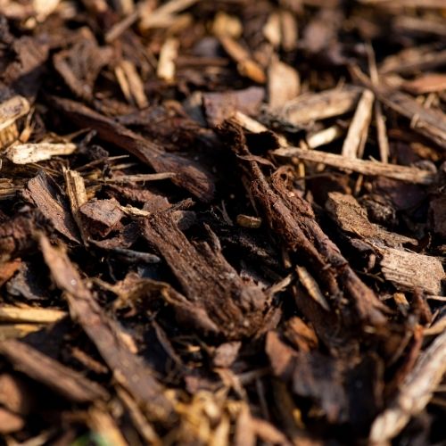 Bark - Aylings Garden Centre